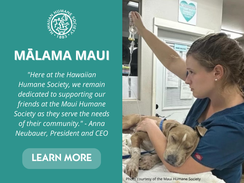 Visit Us : Hawaiian Humane Society